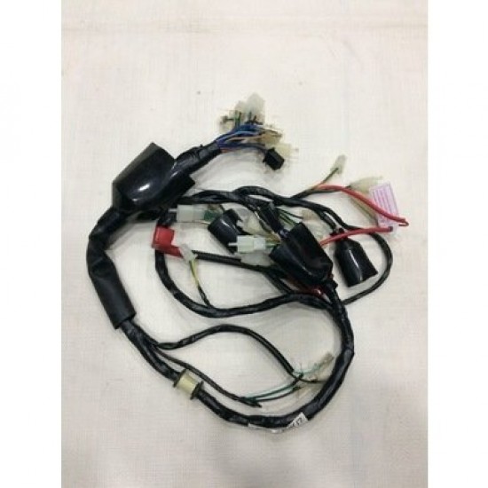 Motoran Force 150 Elektrik Tesisatı